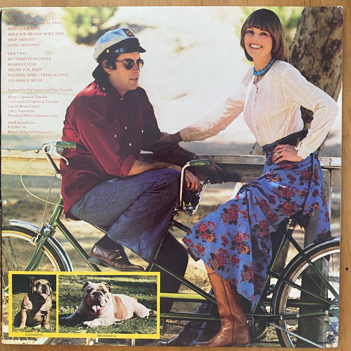 Captain & Tennille Song Of Joy 1976 A&M Records – SP-4570 – 3D Records